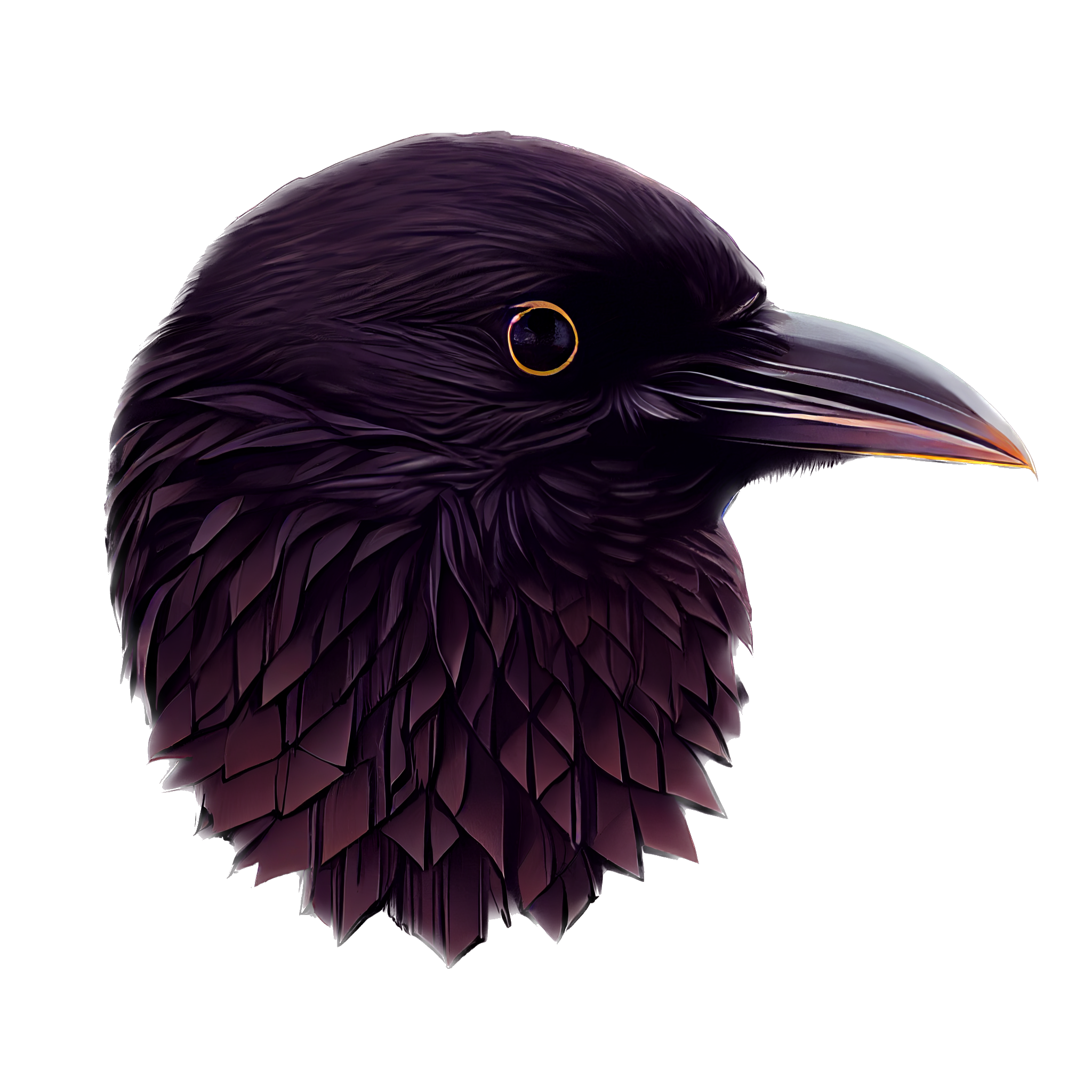 Looker Studio 完整教學：從入門到進階，讓你成為資料視覺化達人 - NICROW